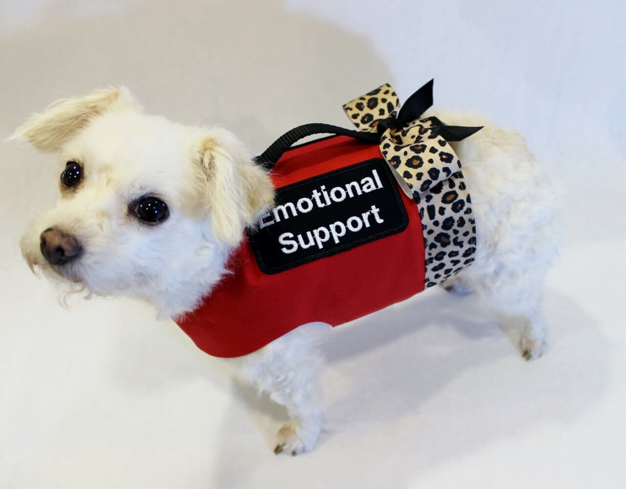 AB 468 Emotional Support Animals