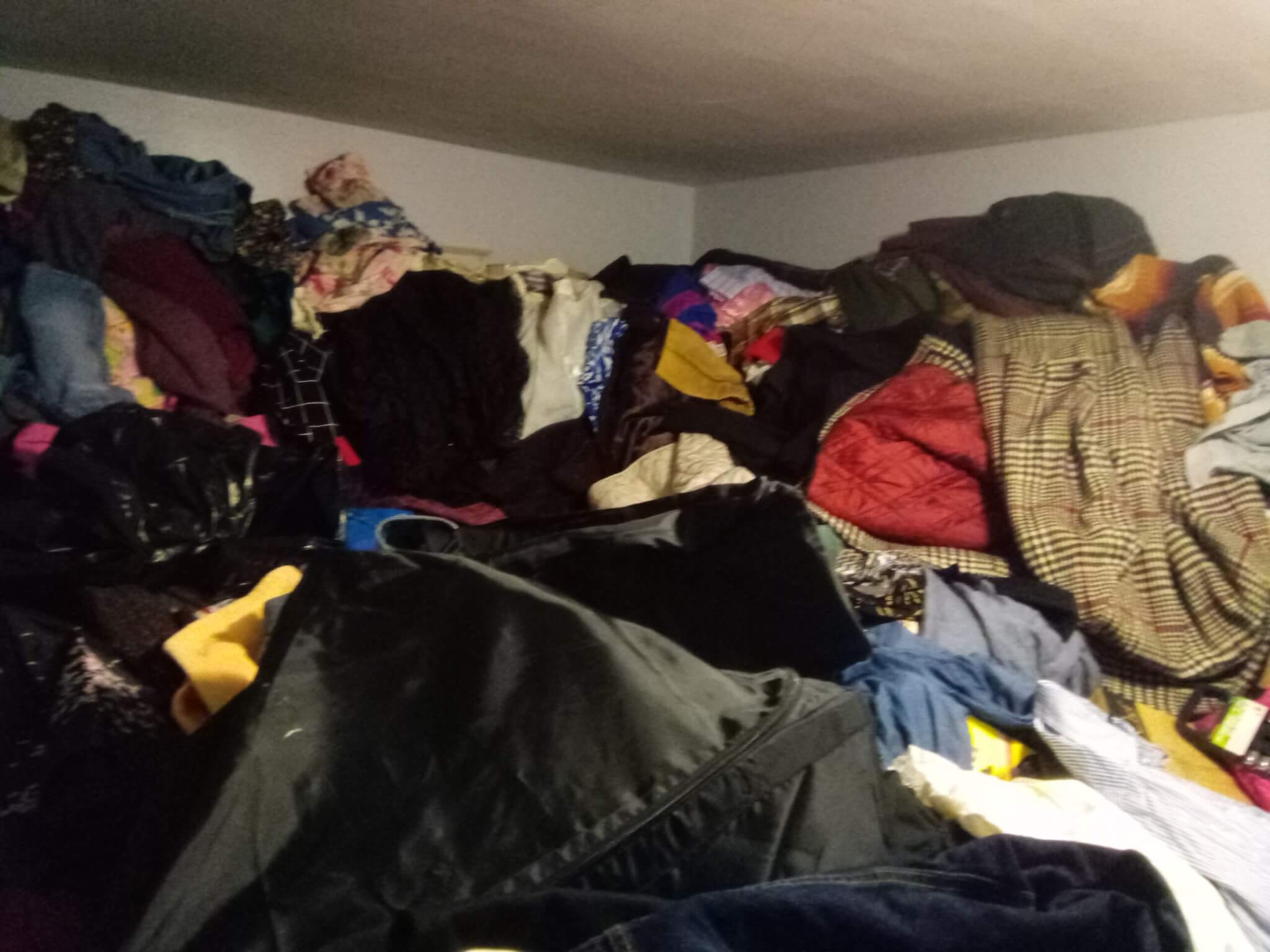 Got Clothes? - Bornstein Law